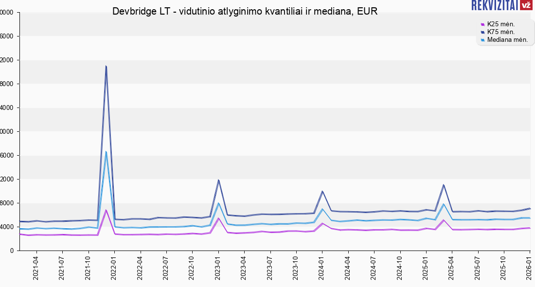 Devbridge LT, UAB atlyginimų vidurkis. Rekvizitai.lt