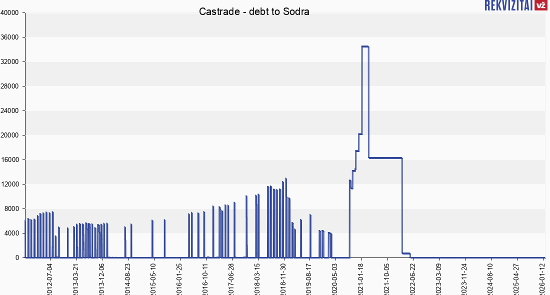 Castrade no social insurance debt. Rekvizitai.lt