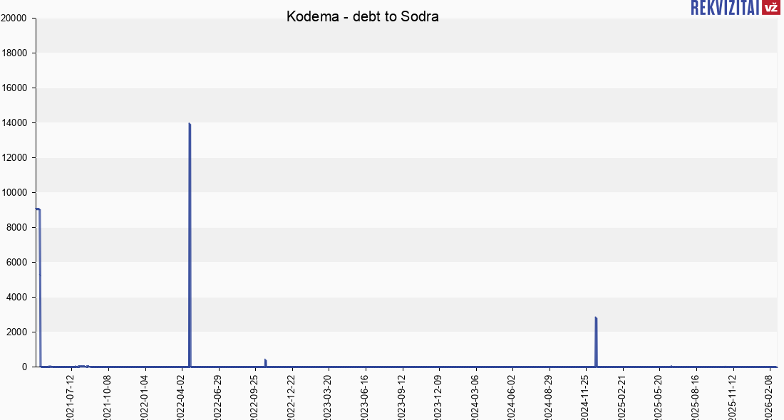 Kodema no social insurance debt. Rekvizitai.lt